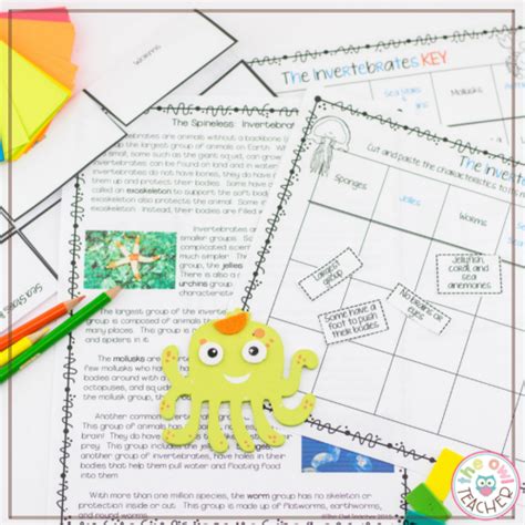 Vertebrate And Invertebrate Animal Classification Worksheets Lesson