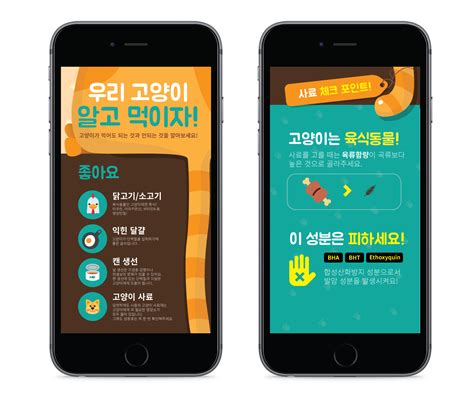 인포그래픽 디자인 고양이 Irangdesign