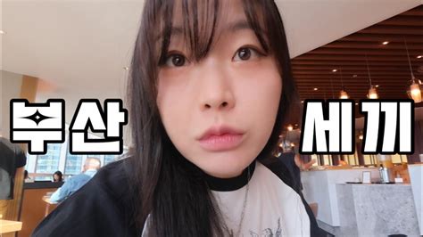 Vlog 지쳤나요 네 부산 시그니엘 3박 0원에 다녀온 썰🚝 부산 여행 크리에이터들이 모이면 생기는 일 Youtube