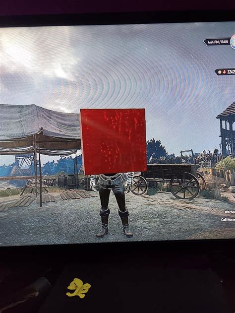 I Found Some Nilfgaardian Armor Next To The Mother Who You Can Help At The Nilfgaardian Base