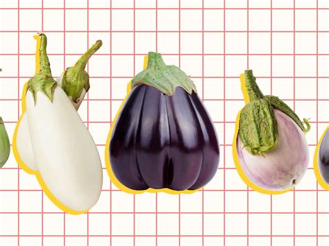 A Guide To Types Of Eggplants