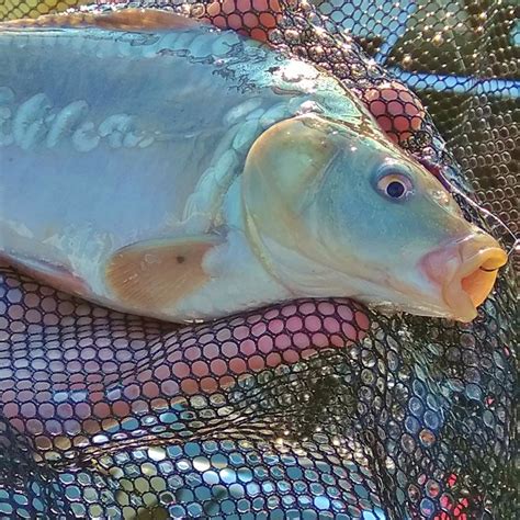 Риболовля сьогодні Ніч напевне буде прохолодною Хай зігріє думка про те що ми готуємо