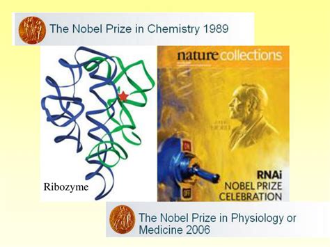 Ppt Predicting Rna Structure And Function Powerpoint Presentation