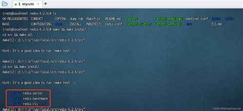 Redis基础篇 002 初识redis Csdn博客