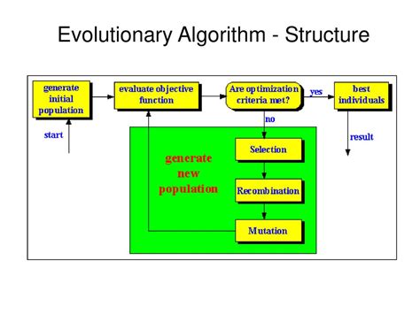 Review Nns Processing Principles In Neuron Unit Ppt Download