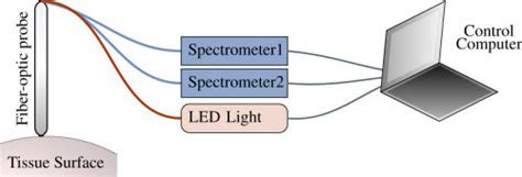 Schematic Diagram Of Polarization Gating Probe And System Download