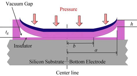 The Cross Sectional View Of A Collapse Cmut With Full Top Electrode B