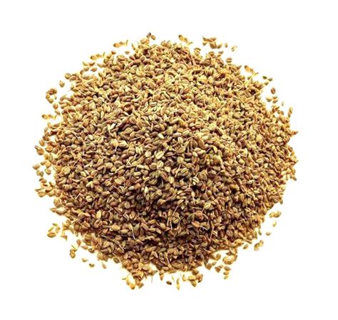Celery Seed Bulk The Grain Grocer