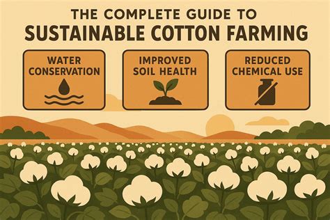 Complete Guide To Texas Cotton Production