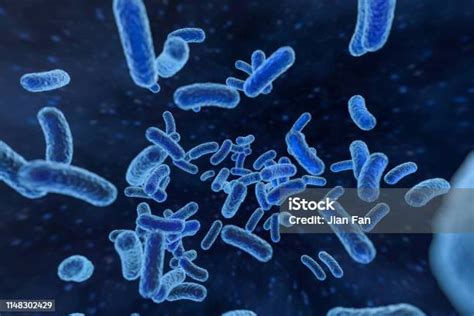 3d 렌더링 파란색 배경에 표면 세부 사항이 있는 전염 성 바이러스 0명에 대한 스톡 사진 및 기타 이미지 0명 3차원 형태 건강관리와 의술 Istock