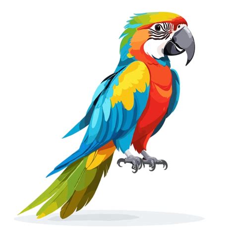premium vector macaw vector on white background