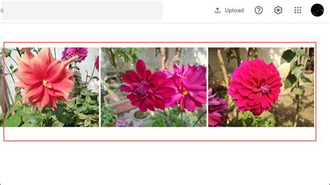 How To Move Google Photos From One Account To Another