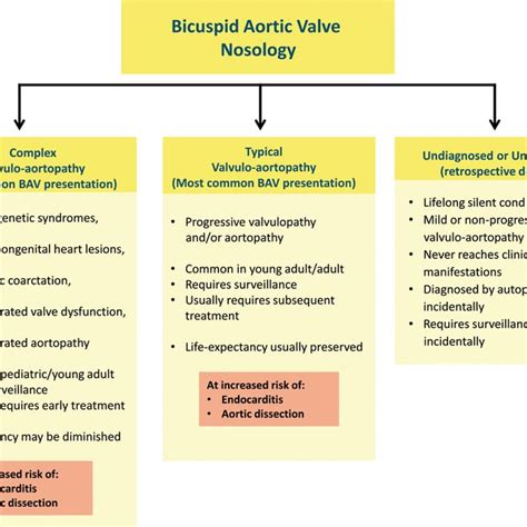 The Sievers Classification Of The Bav The Bicuspid Valve Is Classified