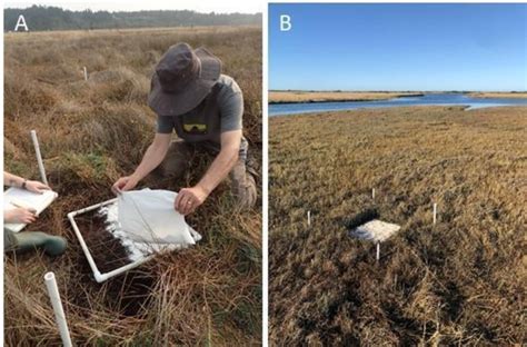 4 Example Of Feldspar Marker Horizon Plots Established In Oct 2020