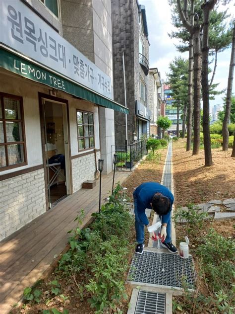 고양시 모기 매개 감염병 말라리아 예방 방역 강화 인디포커스