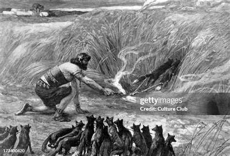 Samson Fox Photos And Premium High Res Pictures Getty Images