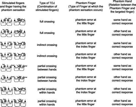 The Different Types Of Phantom Errors And Their Properties Stimulated Download Scientific