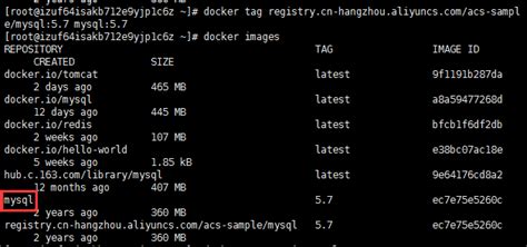 使用docker部署mysql Aweew 使用docker部署mysql Aweew