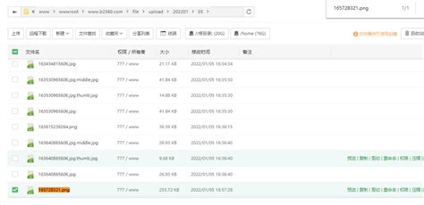 服务器的型号和品牌 虚拟主机数据库问题 常见问题