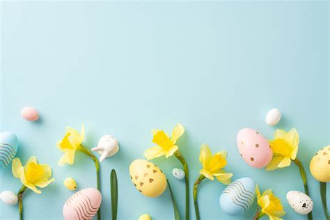 부드러운 파란색 배경에 배열된 수선화 꽃이 있는 다채로운 부활절 달걀을 특징으로 하는 축제 구성으로 봄과 축하를 상징합니다 4월에 대한 스톡 사진 및 기타 이미지 Istock