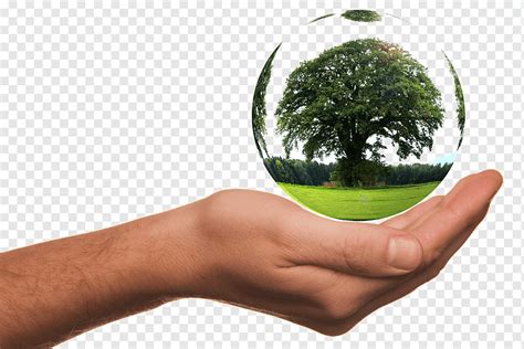 환경 보호 보존 자연 환경 자연 환경 독성학 자연 환경 손 잔디 환경 친화적 인 Png Pngwing