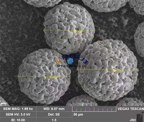 Synthetic Beta Tcp Granules As Bone Void Fillers From Eprui