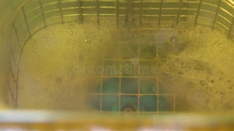 Printing Of Dental Crowns On A 3d Printer Fabrication Of Ceramic