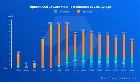 Infographic Testosterone Levels By Age Chart For Men Infographic Tv Number One