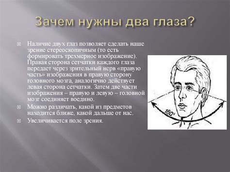 Взгляд на зрение с точки зрения физики - презентация онлайн