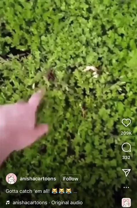 Anishacartoons Follow Gotta Catch Em All Anishacartoons Original