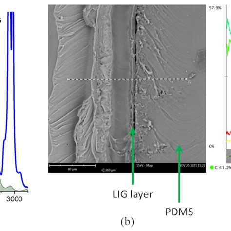 Raman Spectra Sem And Edx Characterization Of Pdms Covered Lig Layer