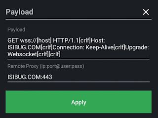 CUSTOM PART 2 WEBSOCKET SSL Ohmyinjector