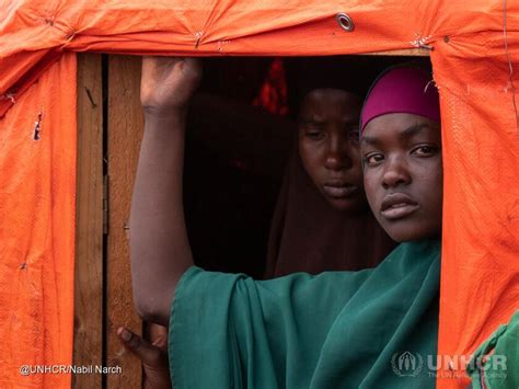 Dora Csordas Posted On Linkedin