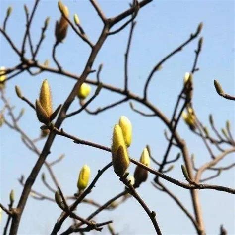 科普知识 环境噪声污染防治——环境噪声控制法律法规及标准 规定