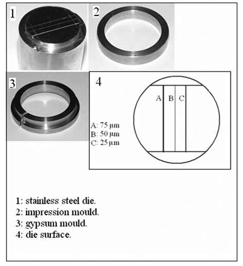 Dimensional Accuracy In Impression At Joshua Mabon Blog
