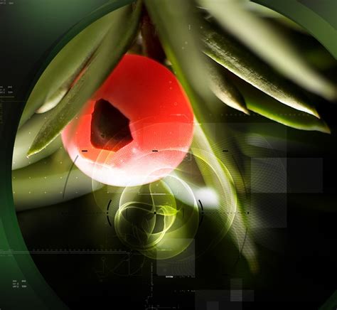 Indena Indena Phytosome