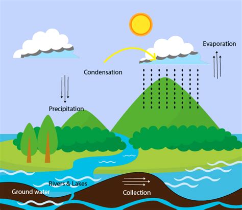 Facts About The Water Cycle 6th Grade
