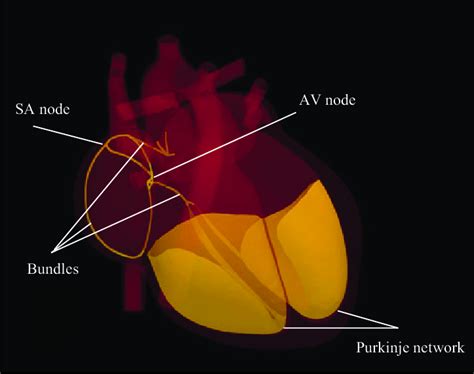 Representation Of The Three Level Hierarchical Model Of The Download Scientific Diagram