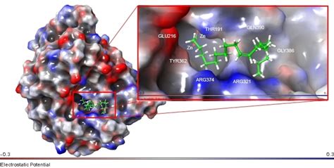 Phytochemical Profiling In Vitro Biological Activities And In Silico