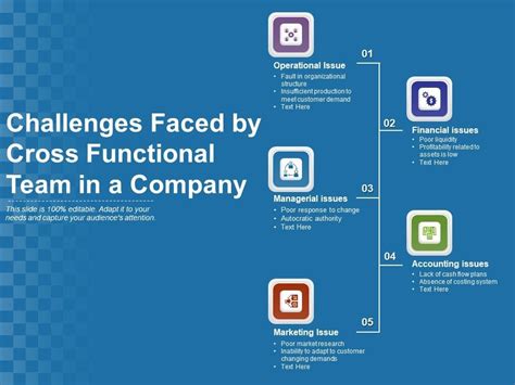 Challenges Faced By Cross Functional Team In A Company Ppt Powerpoint Prese