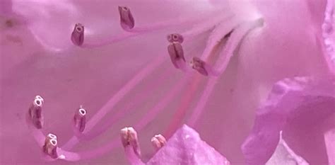 Sex Pistols By Stardust247 On Deviantart