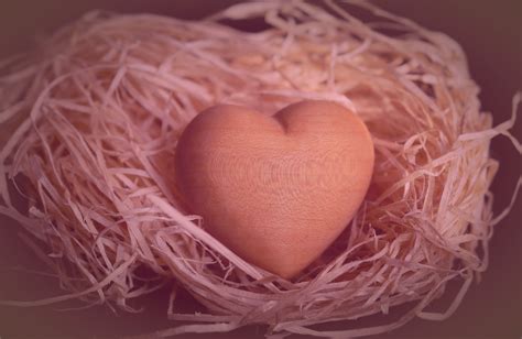 Empty Nest — Chyoa Empty Nest — Chyoa