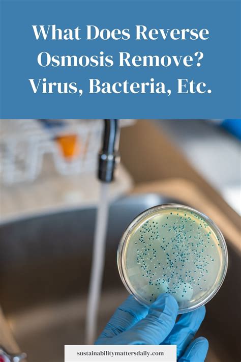 What Does Reverse Osmosis Remove Bacteria Minerals VOCs Etc SMD