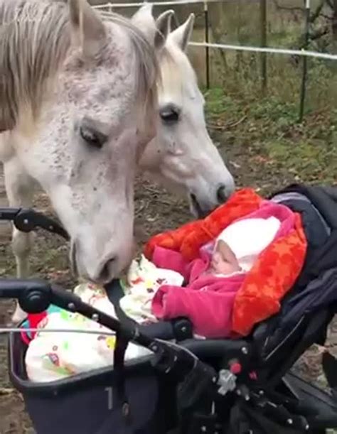 Abdul Qadir Posted On Linkedin