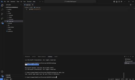 I Am New And Need Help Setting Up Lua With Vscode Rlua