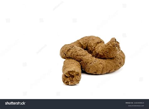 Que Tiene De Malo La Caca De Perro