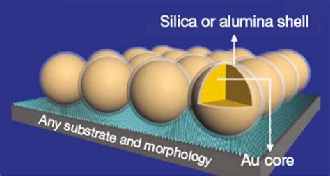 Simple Schematic Diagram Covers Gold Nanoparticles With Ultrathin Download Scientific Diagram