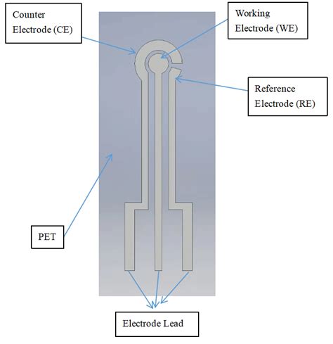 The Design Of The Electrochemical Sensor Download Scientific Diagram