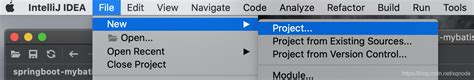 Springboot集成mybatis保姆级教程（完整版） Csdn博客