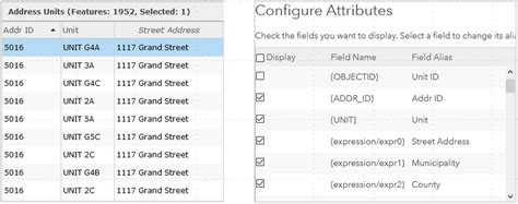 Using Arcgis Arcade To Power Your Pop Ups Part 1 Software
